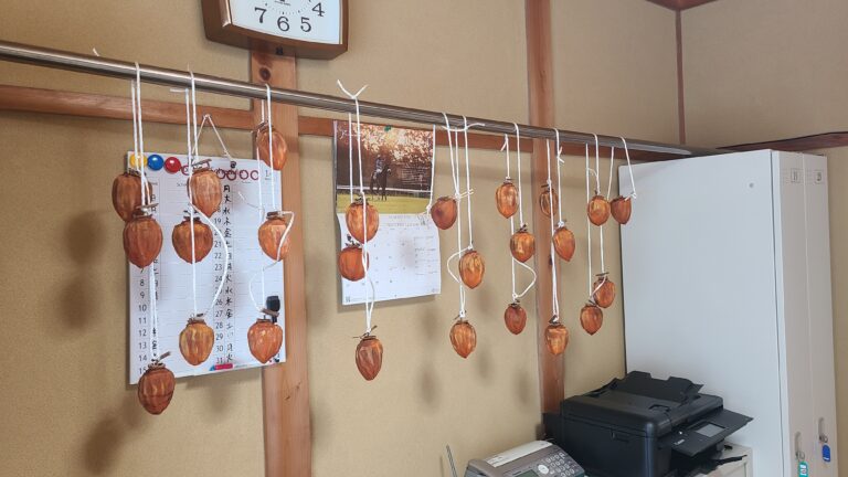 2025年10月14日 就労継続支援B型事業所 クルール舞子台4日ぶりに出勤したら…干し柿がかなり変化を迎えているではあーりませんかっ ...